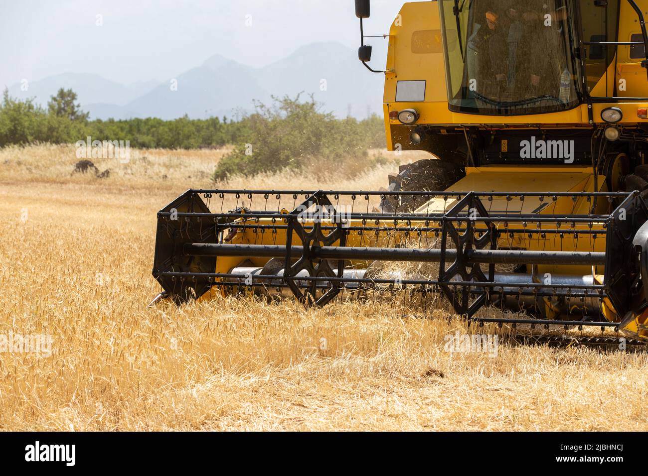 Combine harvester harvesting barley fields Stock Photo - Alamy