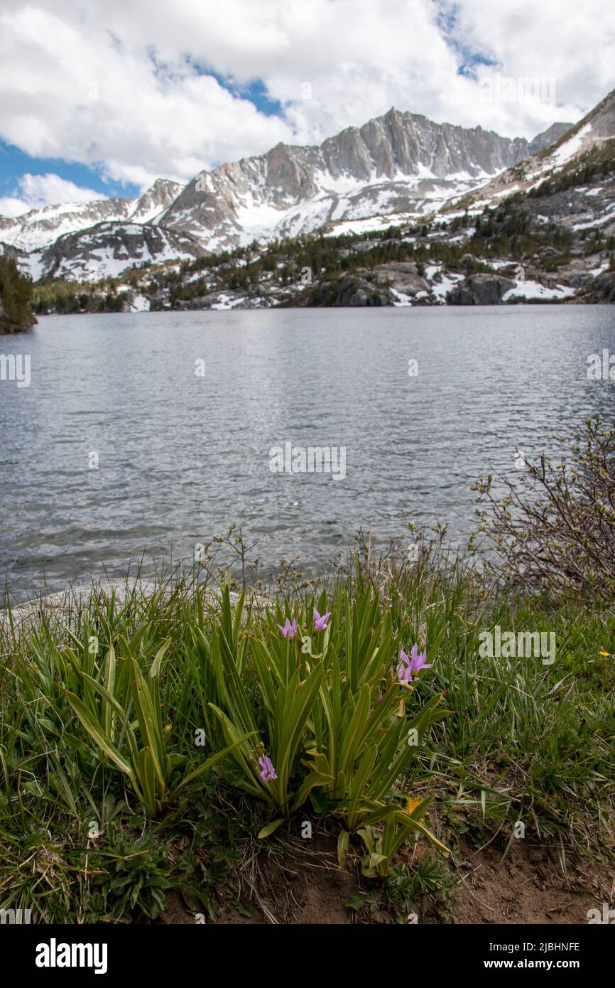The Bishop Pass Trail in the Eastern Sierra of California takes hikers ...