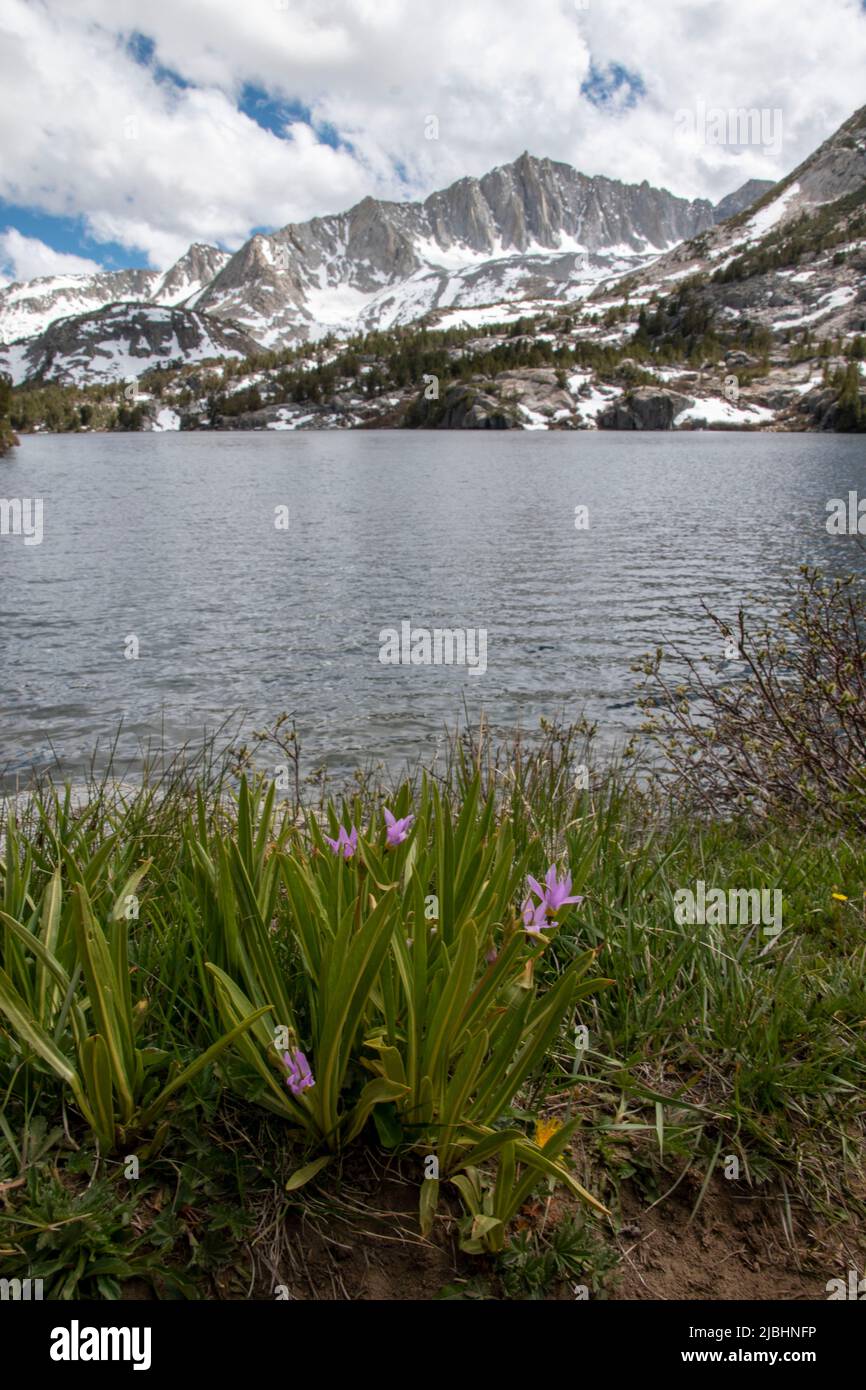 The Bishop Pass Trail in the Eastern Sierra of California takes hikers ...