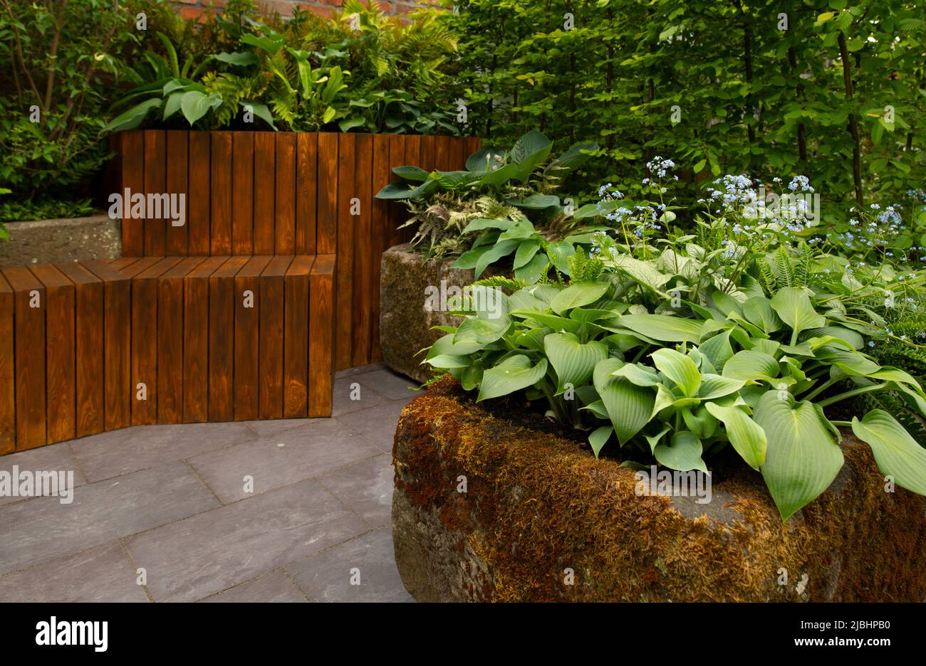 Hosta ‘Devor Green’, Hosta ‘Blue Mouse Ears’, Brunnera macrophylla ...