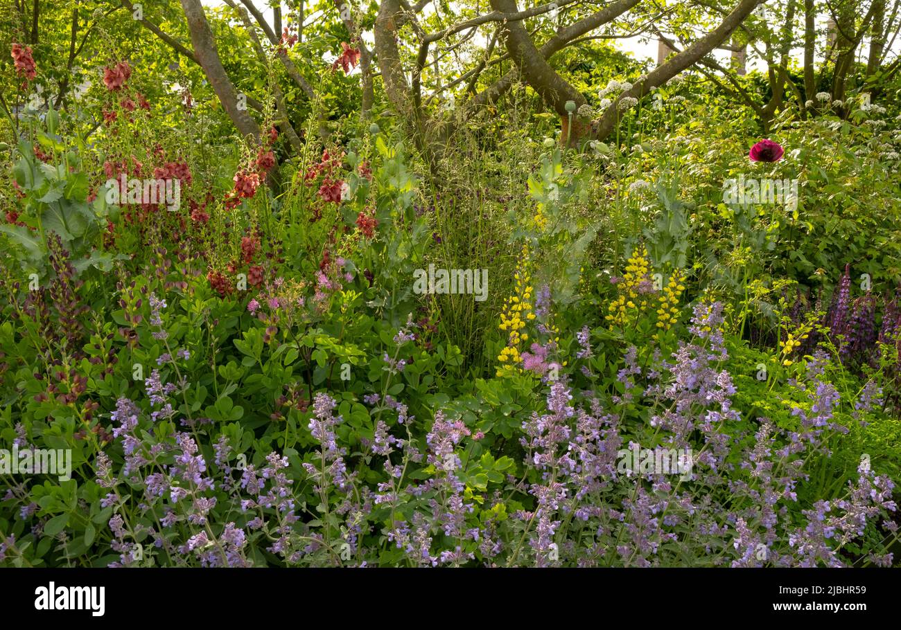 Planting in the Place 2Be Securing Tomorrow Garden designed by Jamie ...