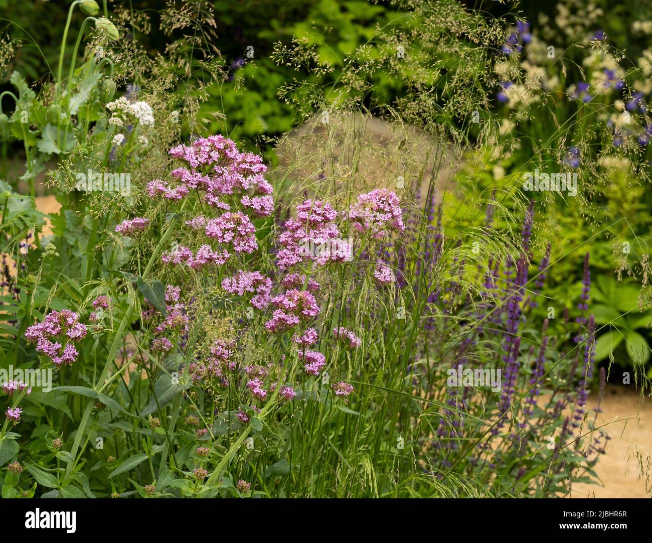 Jamie butterworth designer hi-res stock photography and images - Alamy