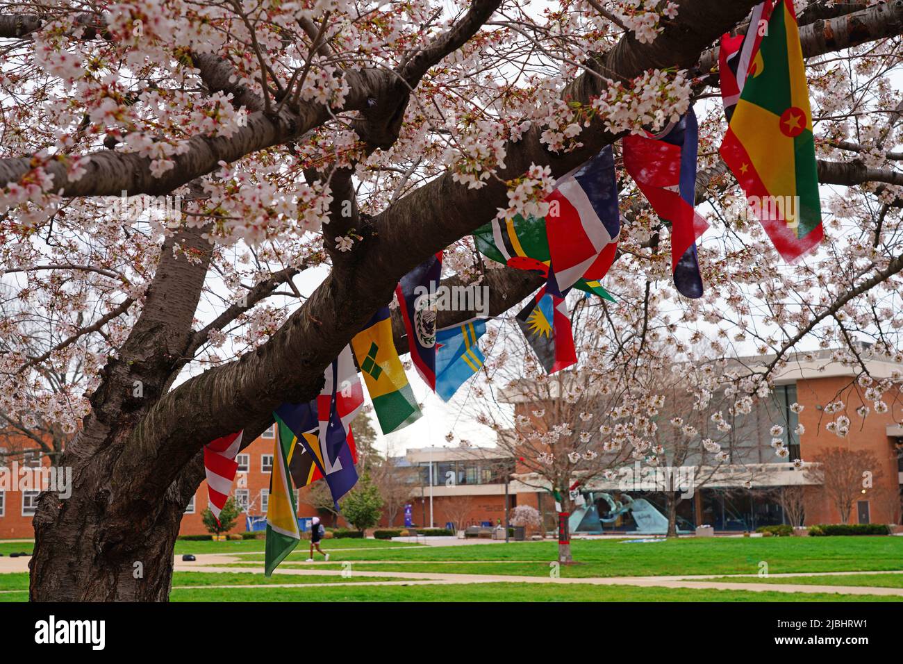 WASHINGTON, DC -26 MAR 2022- View of the college campus of Howard ...