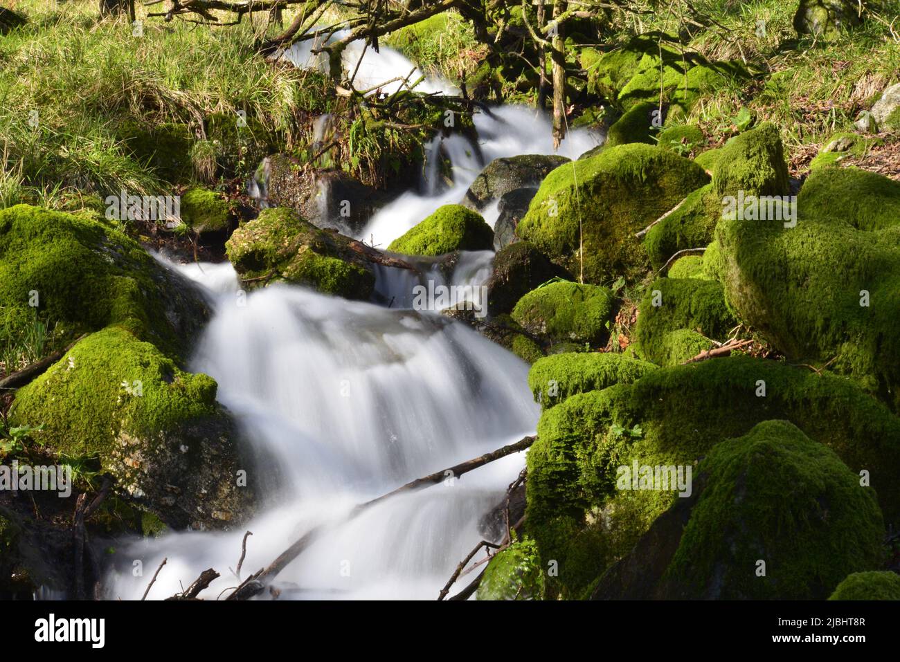 Stream water between rocks moss hi-res stock photography and images - Alamy