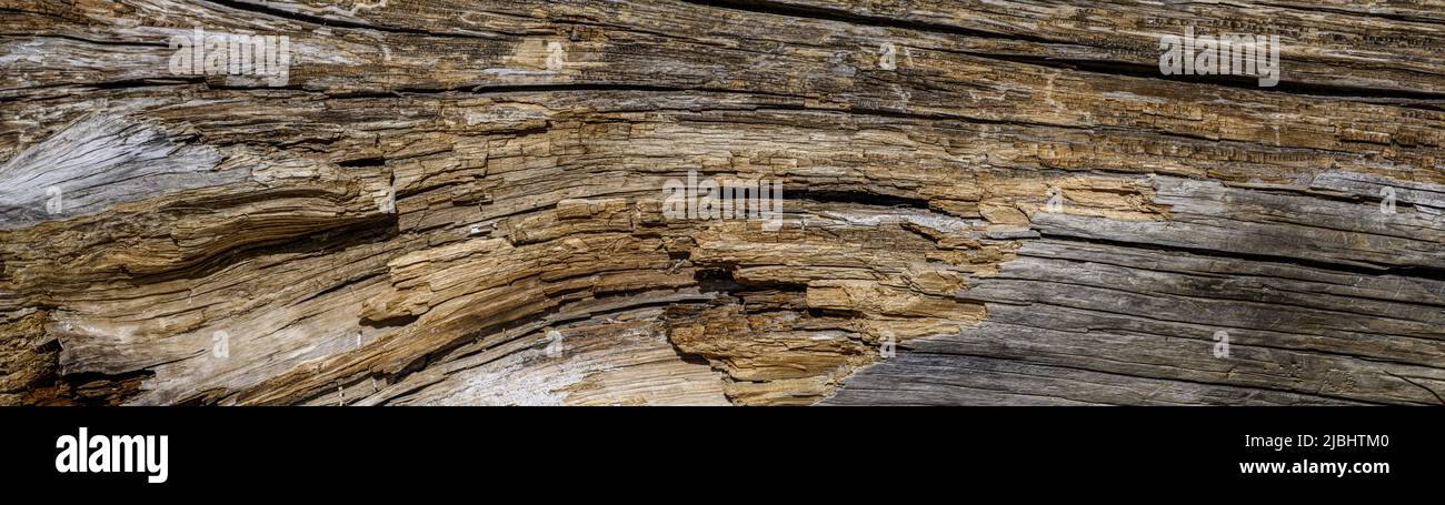 panoramic view of old cracked wooden background. Vintage wooden ...