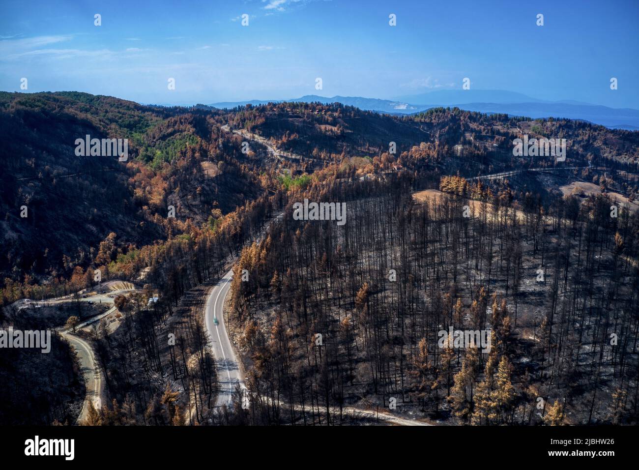 Burned Forest Birds Eye View