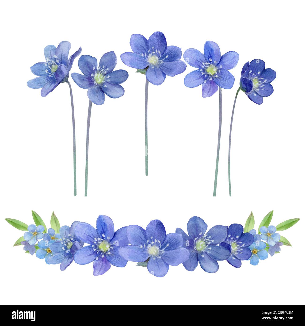 Spring blue flowers for decor, watercolor illustration Stock Photo - Alamy