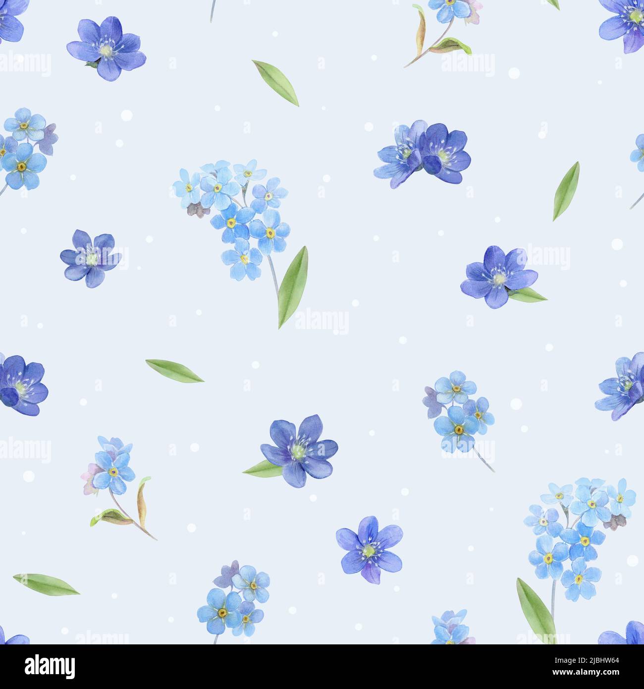 Pattern with blue flowers, forget-me-nots, watercolor illustration ...