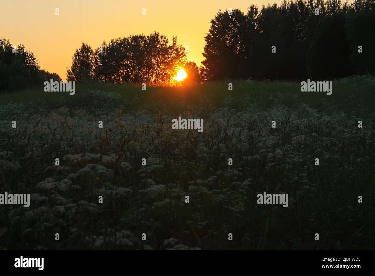Sunset landscape in the countryside. Scenic summer nature view in ...