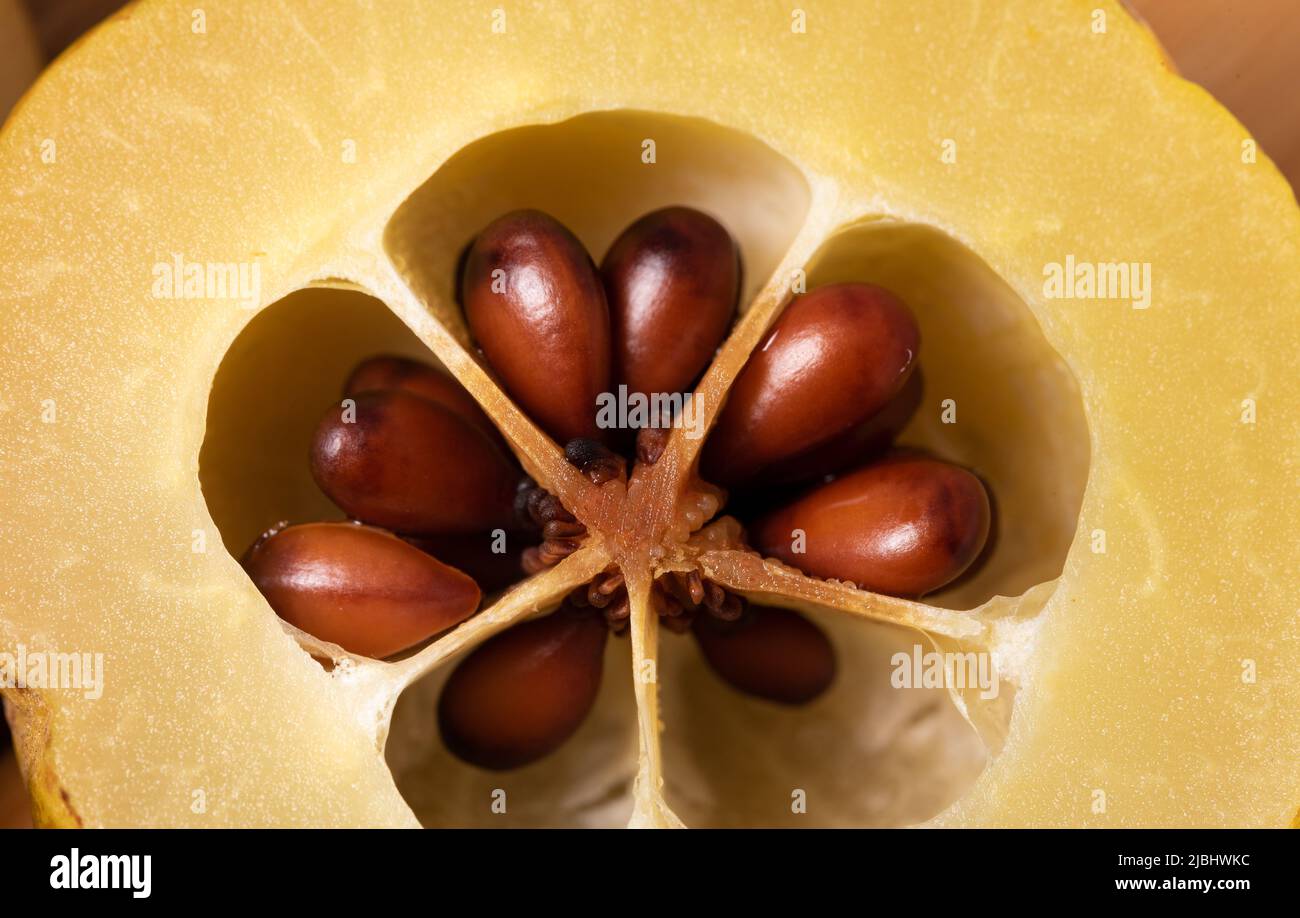 Quince, Chaenomeles Lindl. Close-up of ripe sliced fruit with small ...