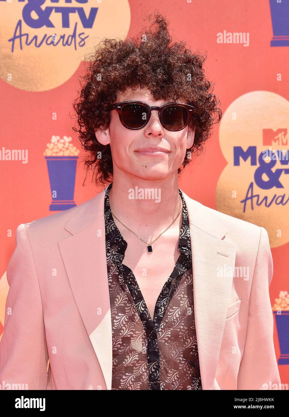 SANTA MONICA, CA - JUNE 05: Reece Feldman attends the 2022 MTV Movie ...