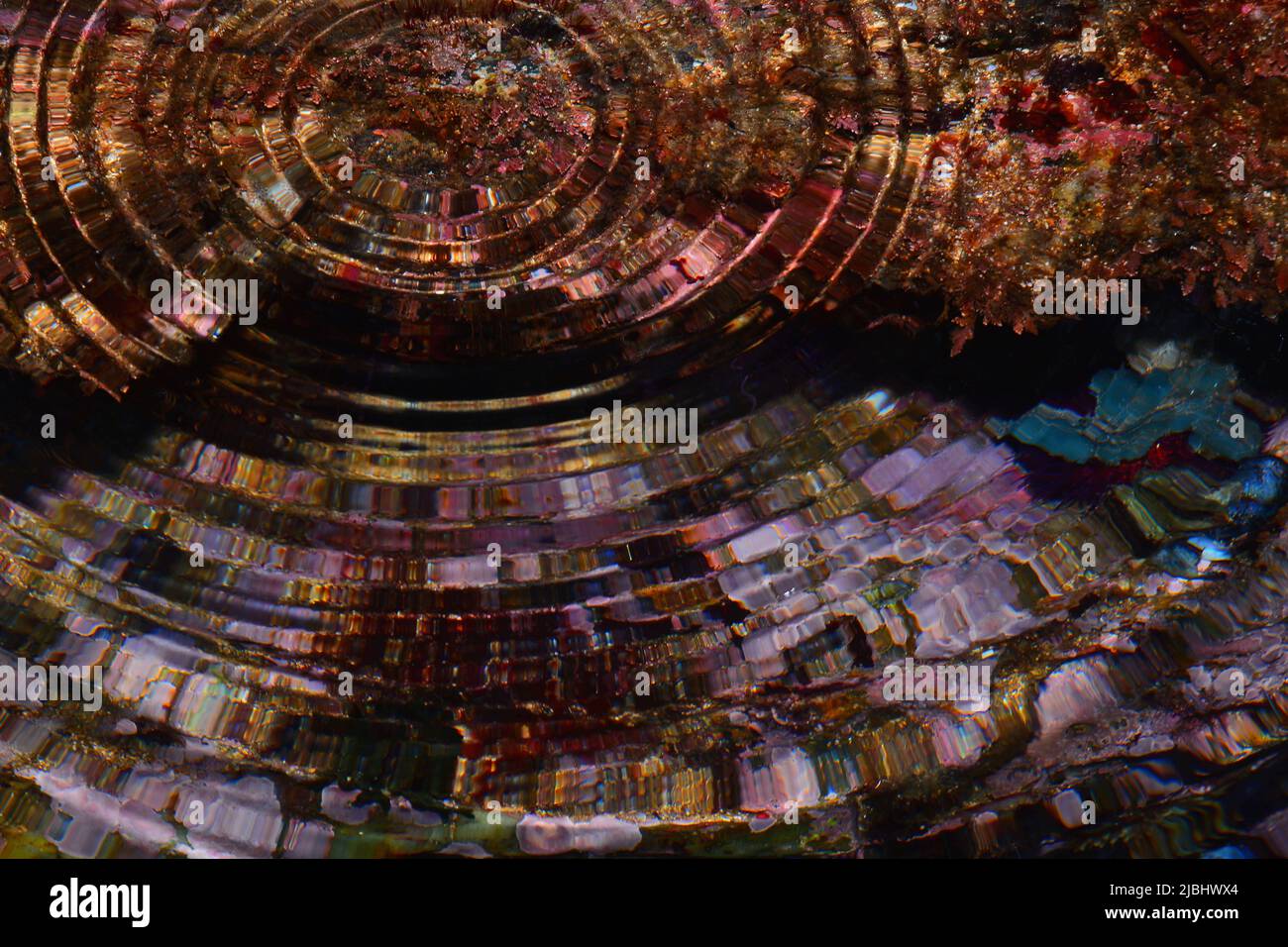 Water waves from above the image with reflected and refracted light on ...