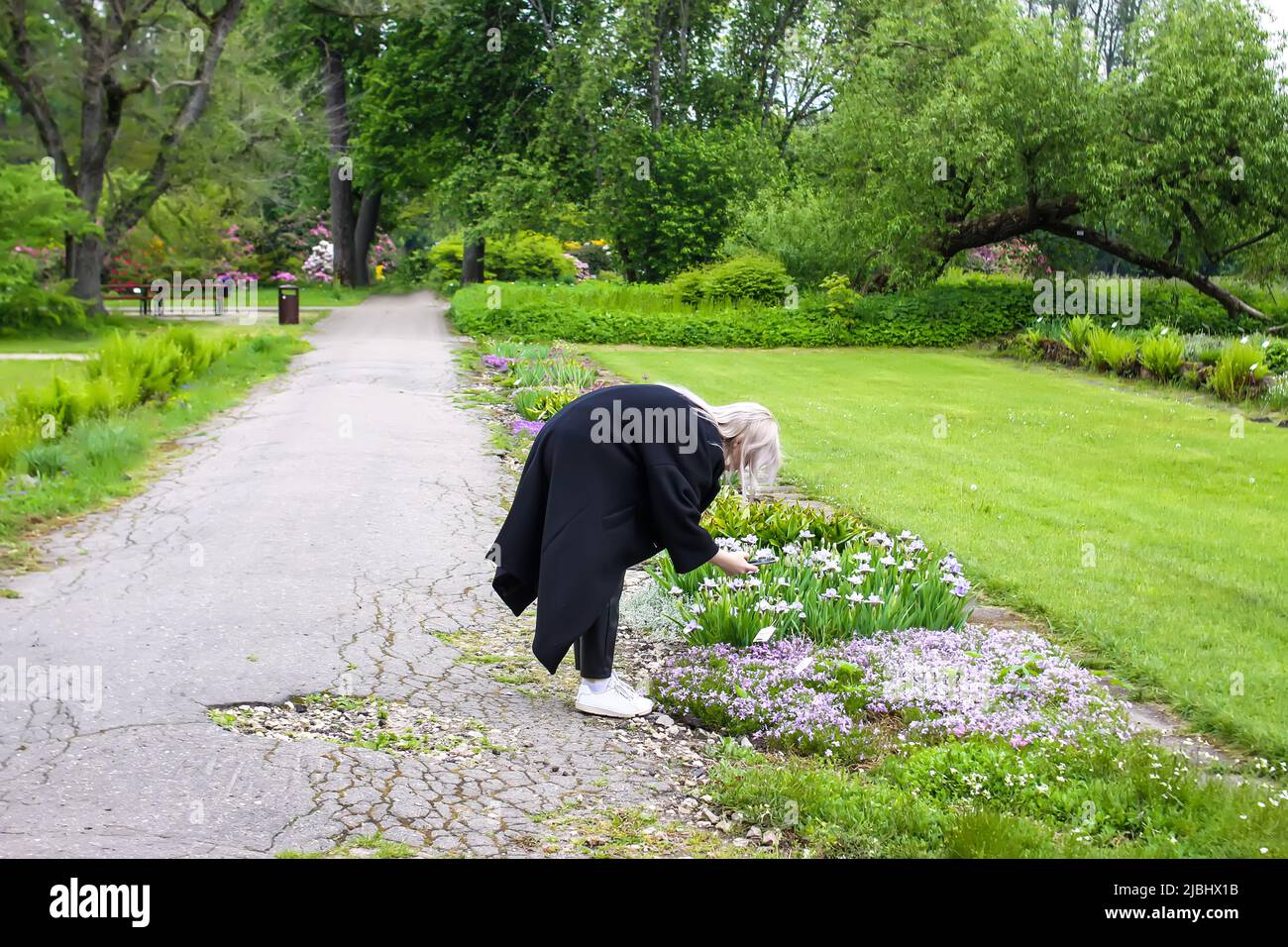 Young blonde girl making photo in a spring park Stock Photo - Alamy