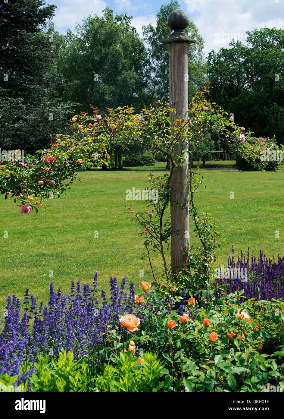 Rose pillars and swags hi-res stock photography and images - Alamy