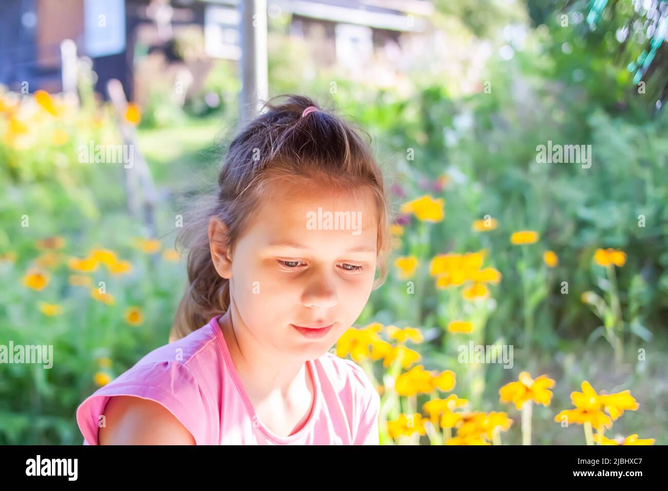Little girl on a summer field in a warm sunny day. Rural scene Stock ...