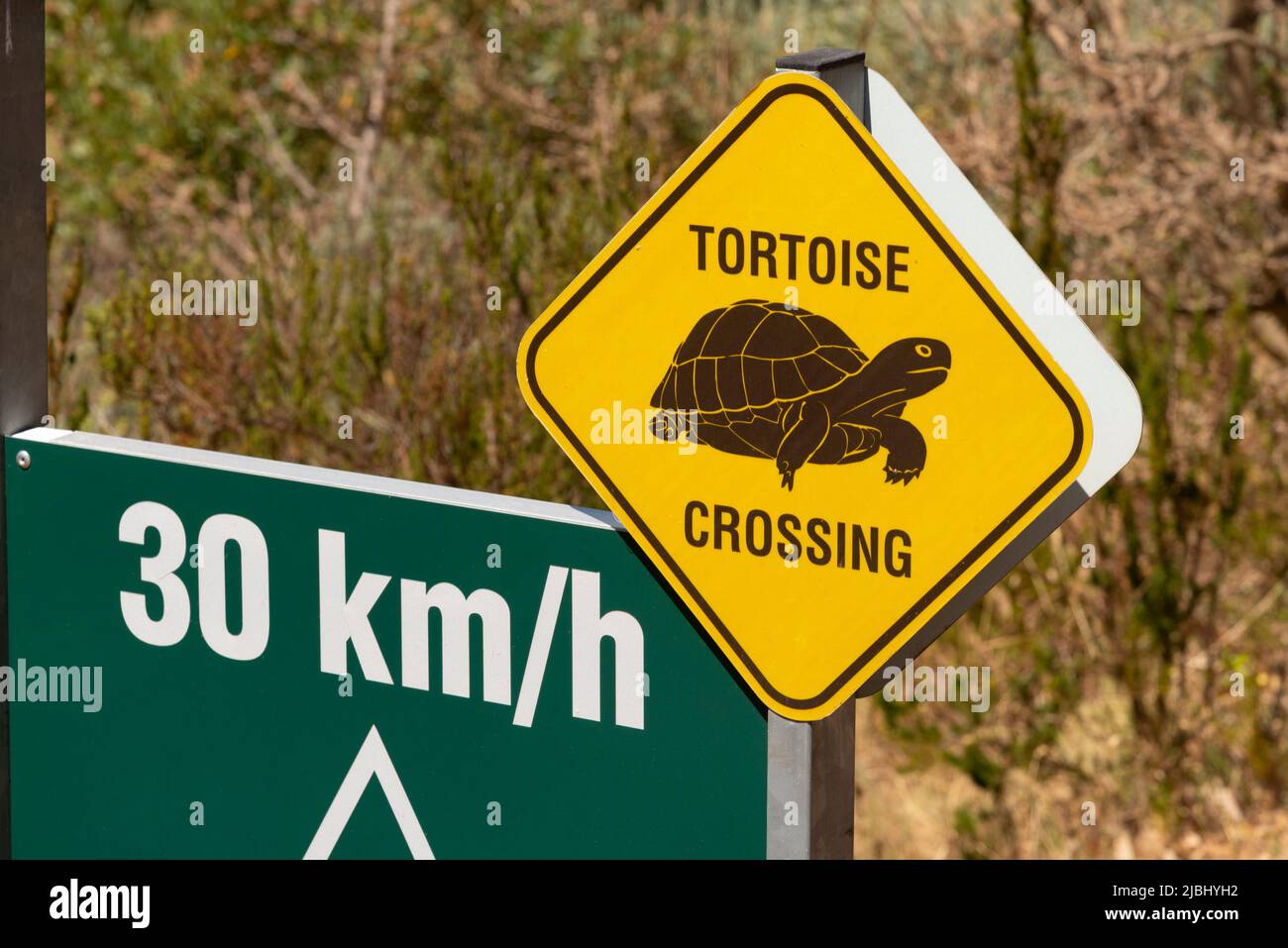Western Cape, South Africa. 2022. Tortoise crossing road sign with 30 ...