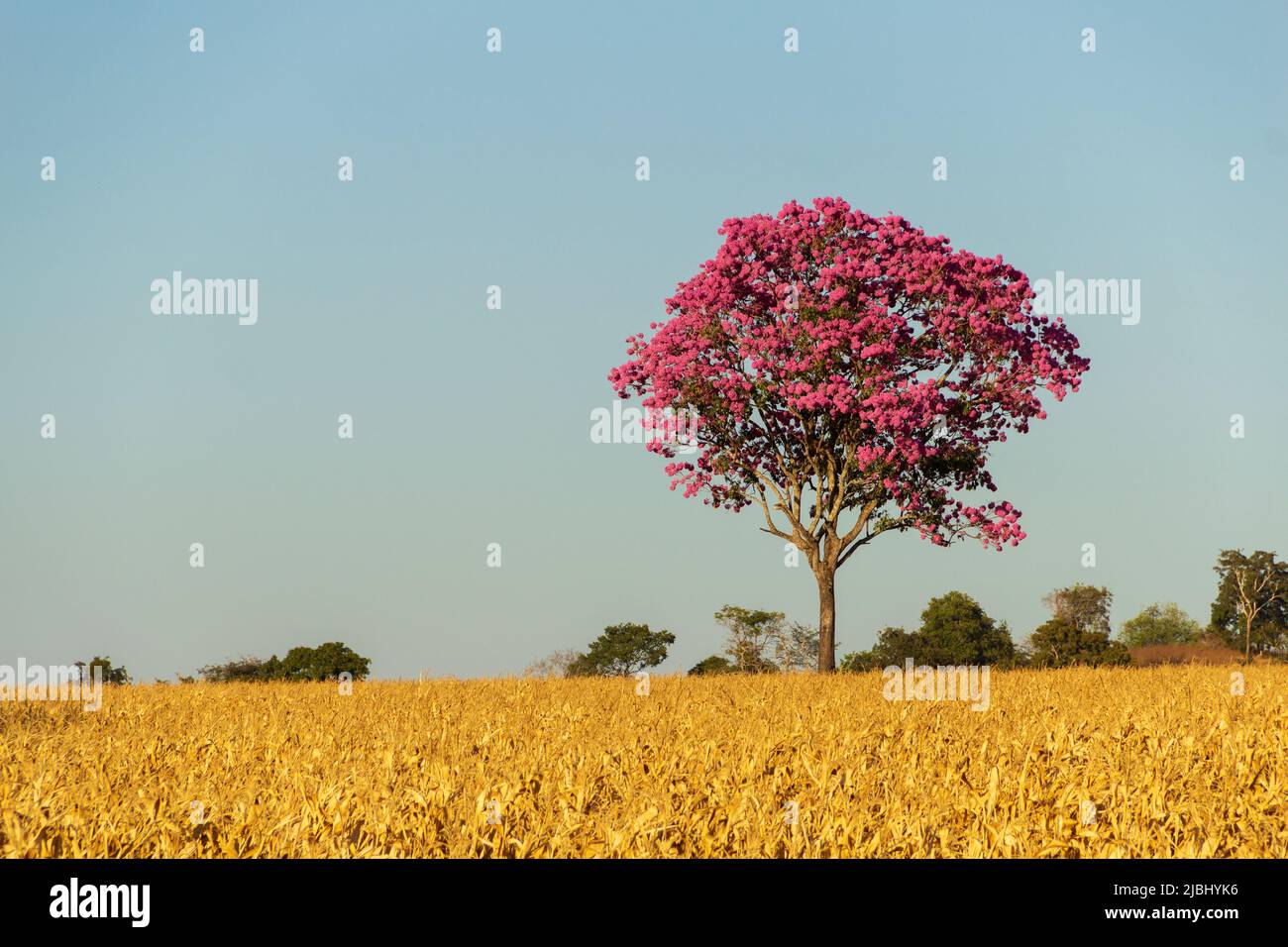 2022 cerrado hi-res stock photography and images - Alamy