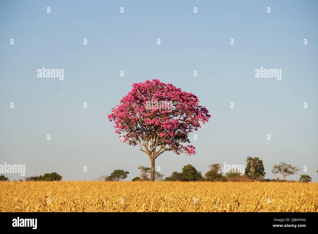 2022 cerrado hi-res stock photography and images - Alamy
