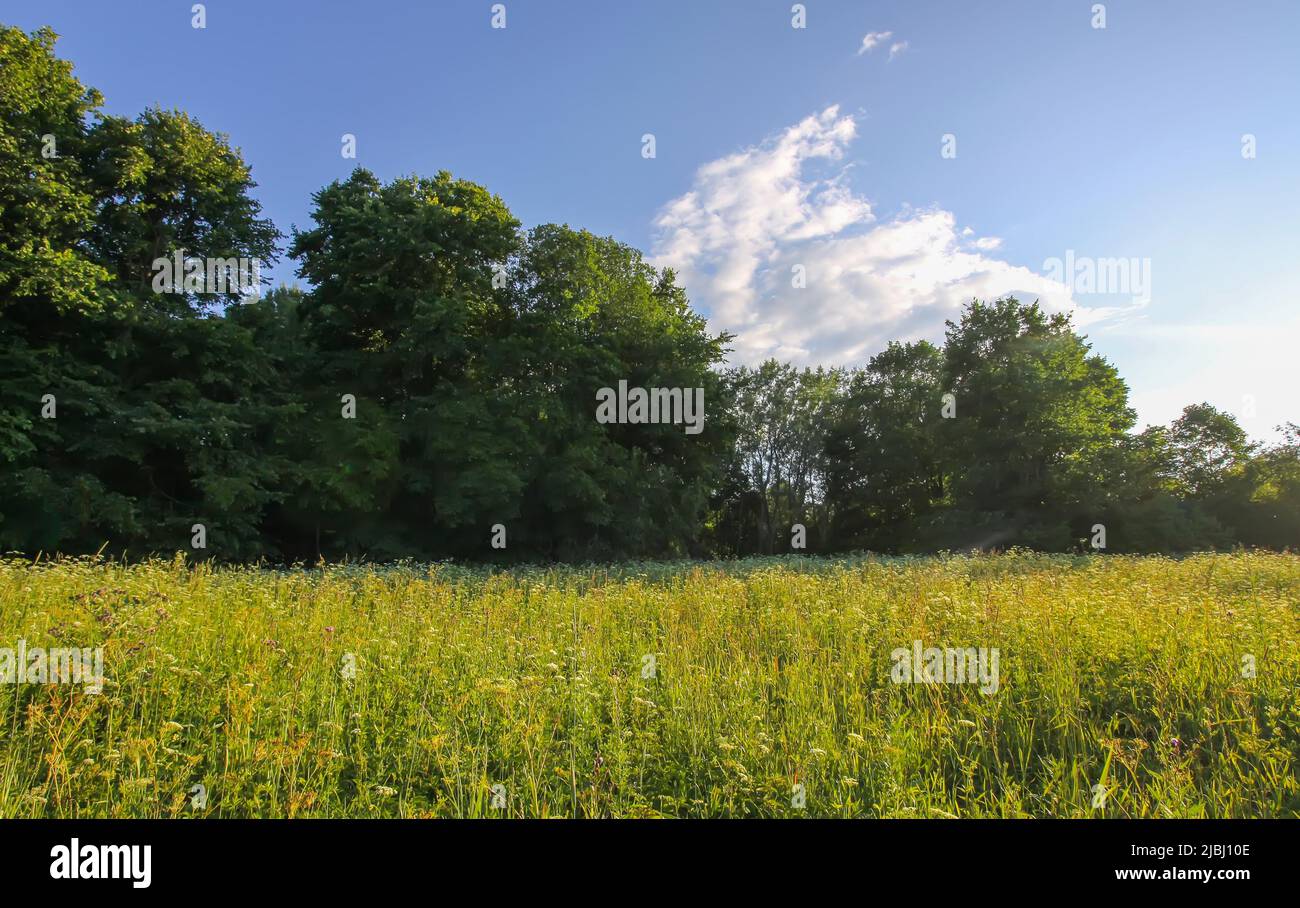 Landscape in the countryside. Scenic summer nature view in Latvia, East ...