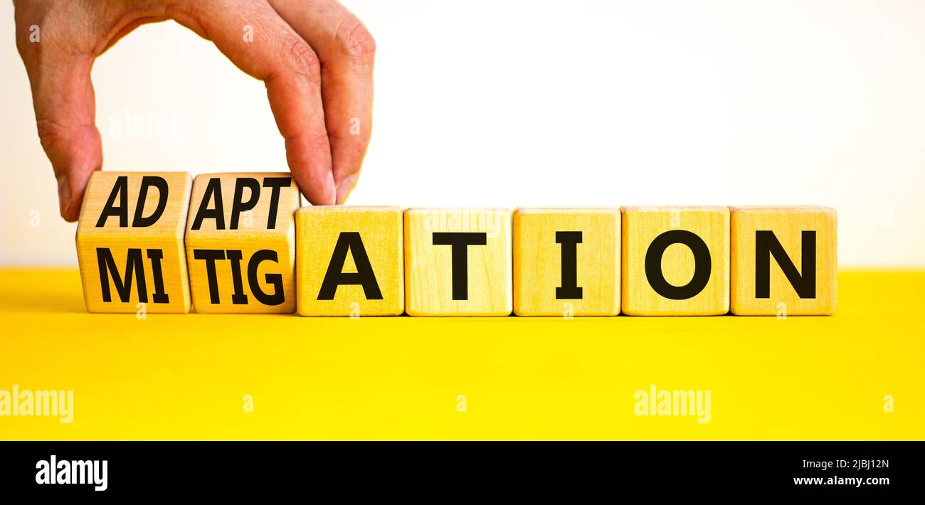 Adaptation or mitigation symbol. Businessman turns cubes and changes ...