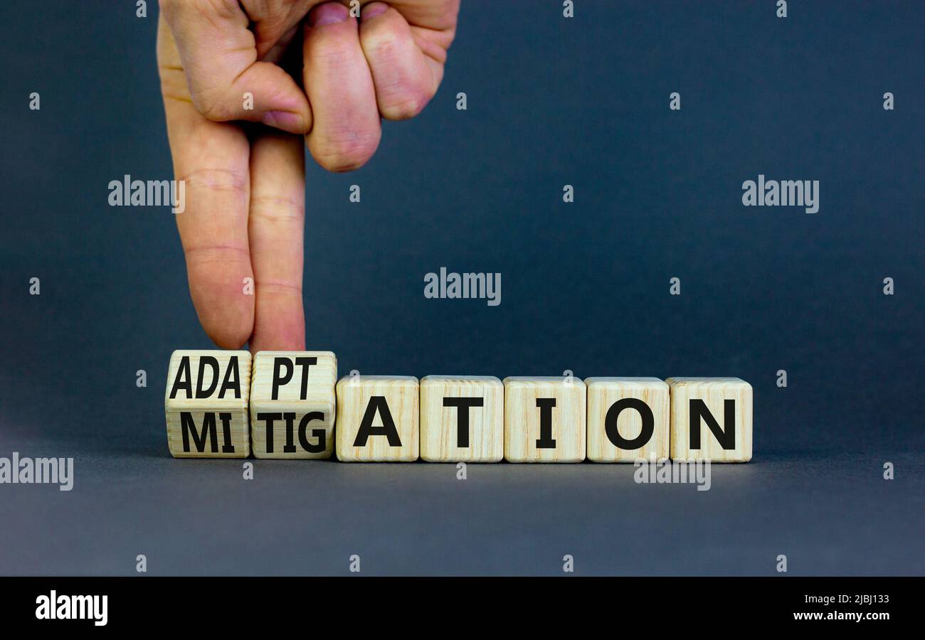 Adaptation or mitigation symbol. Businessman turns cubes and changes ...