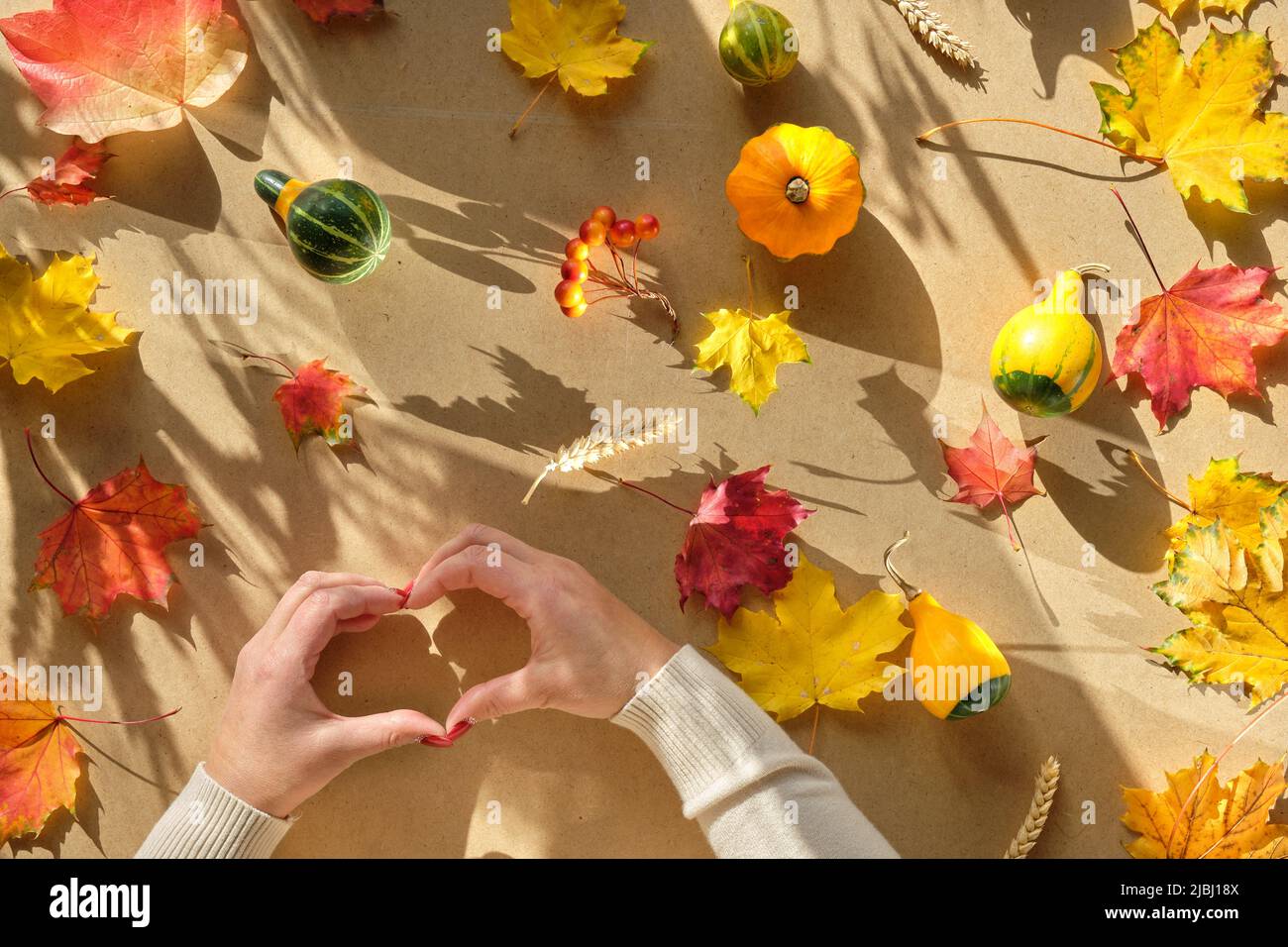 Maple sign board hi-res stock photography and images - Alamy