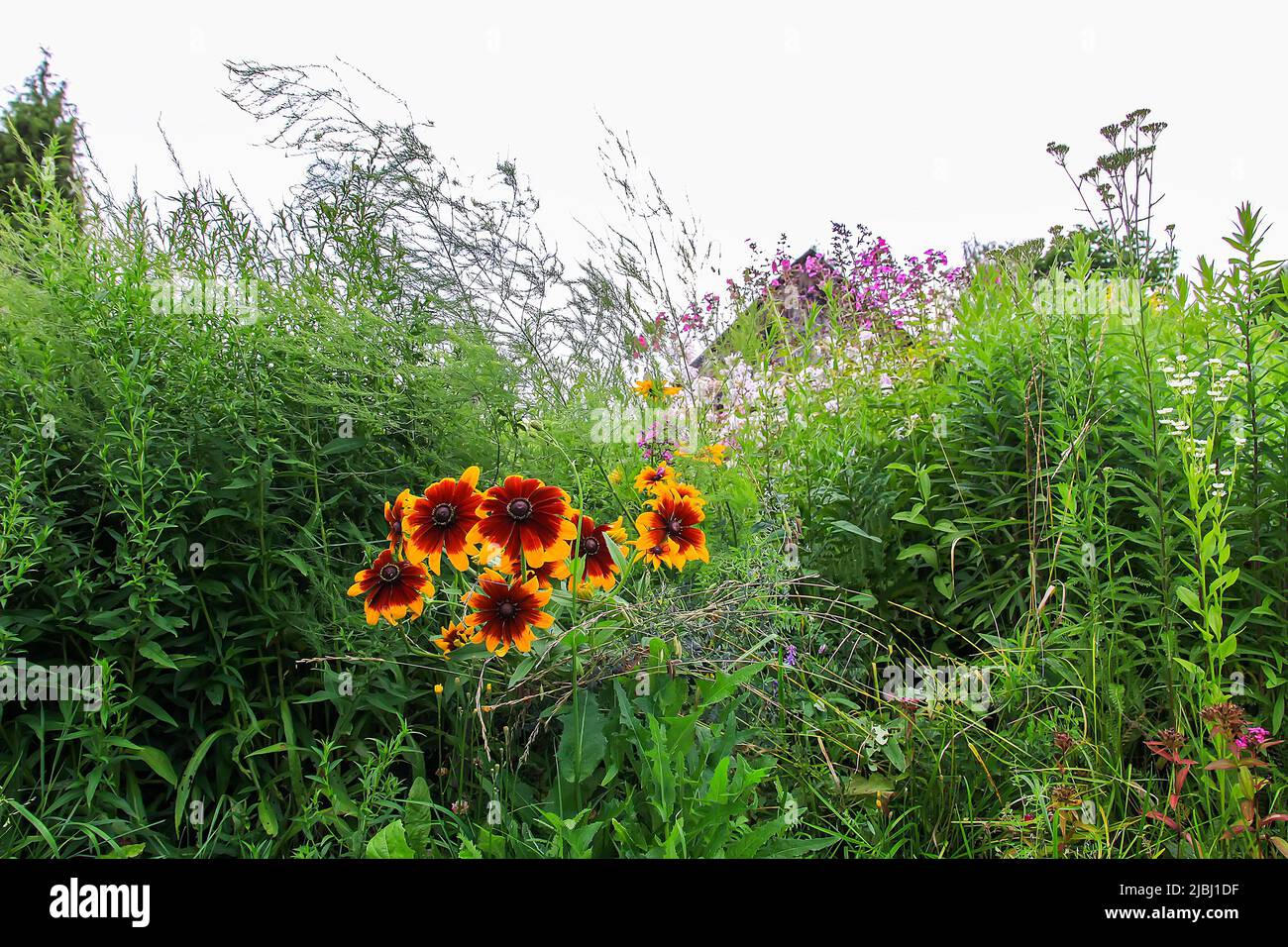 Landscape in the countryside. Scenic summer nature view in Latvia, East ...