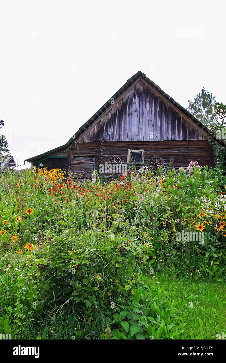 Landscape in the countryside with old shed. Scenic summer nature view ...