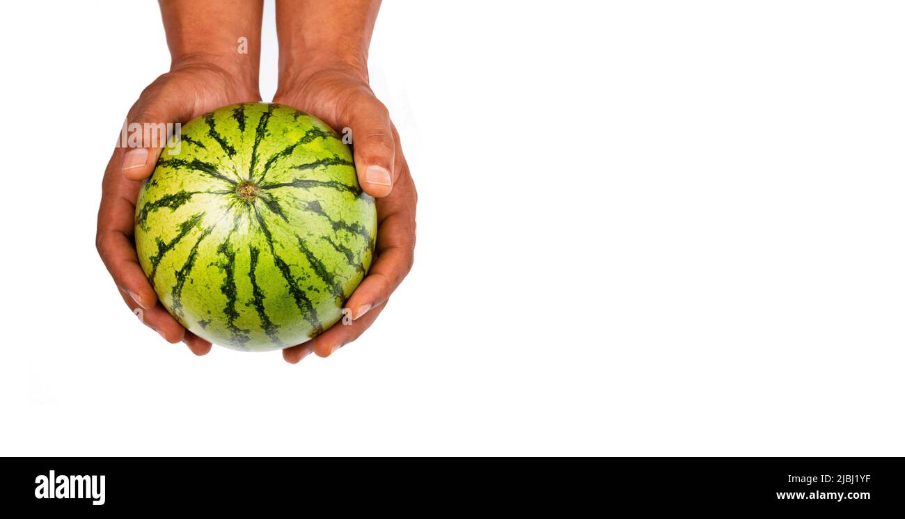 Ripe sweet watermelon in farmer's hand - Citrullus lanatus Stock Photo ...