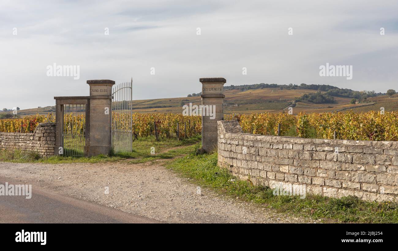 Cote d'Or, Burgundy, France - 15th October 2022 - Gateway into Grand ...