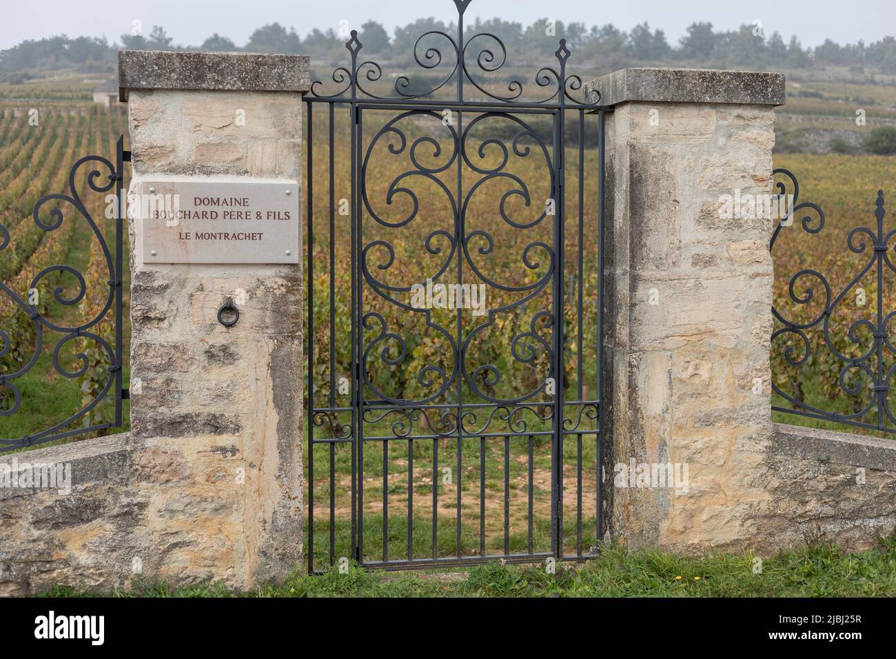 Puligny-Montrachet, Burgundy, France - 18th October 2021 - The world ...