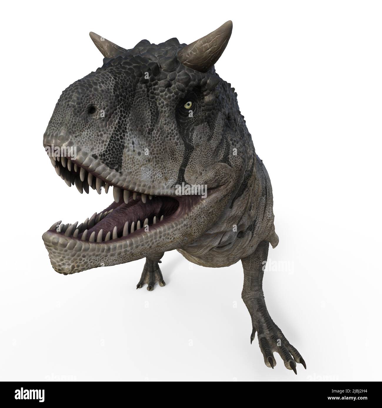 3d-illustration of an isolated dinosaur carnotaurus Stock Photo - Alamy