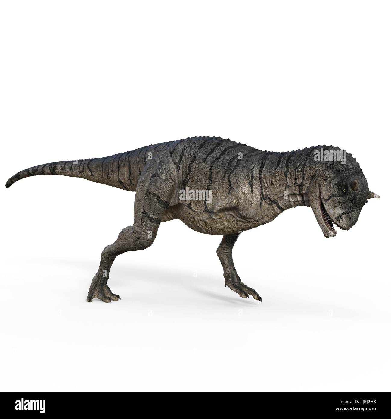 3d-illustration of an isolated dinosaur carnotaurus Stock Photo - Alamy