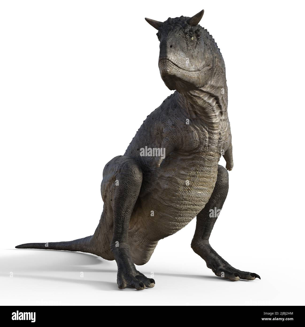 3d-illustration of an isolated dinosaur carnotaurus Stock Photo - Alamy