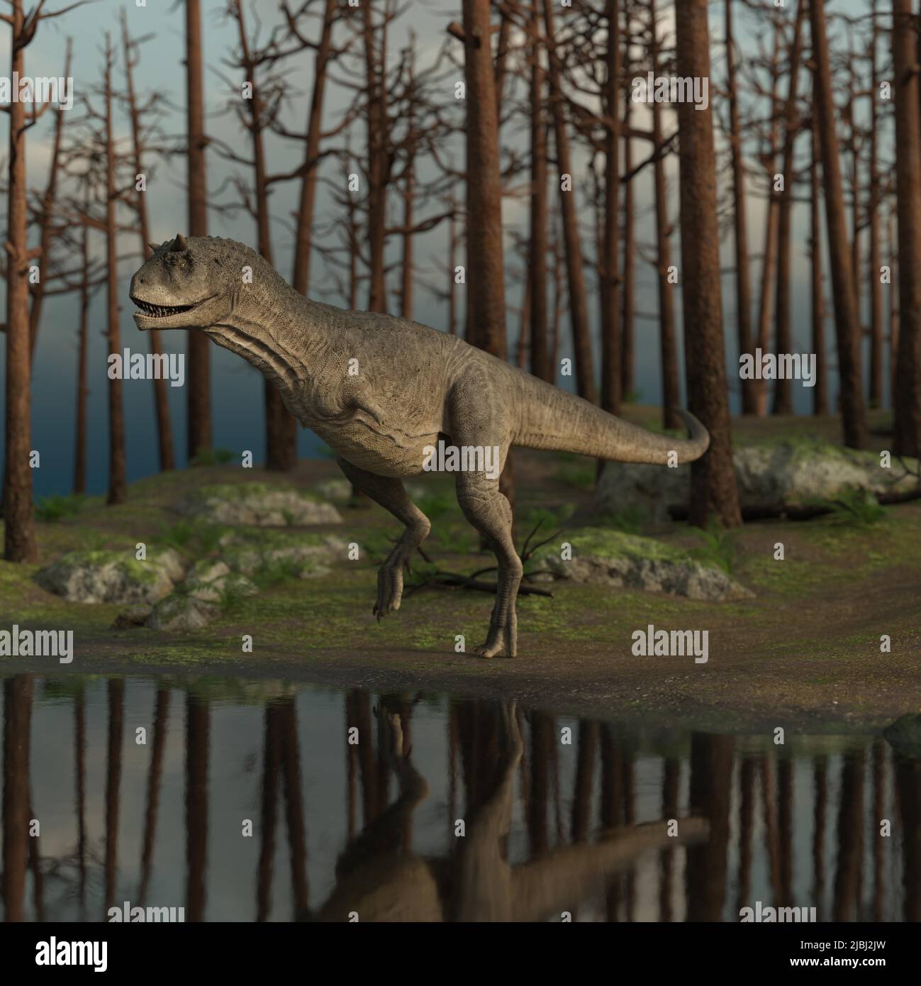 3d-illustration of an dinosaur carnotaurus Stock Photo - Alamy