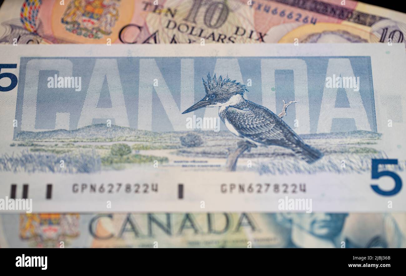 Canadian Money 5