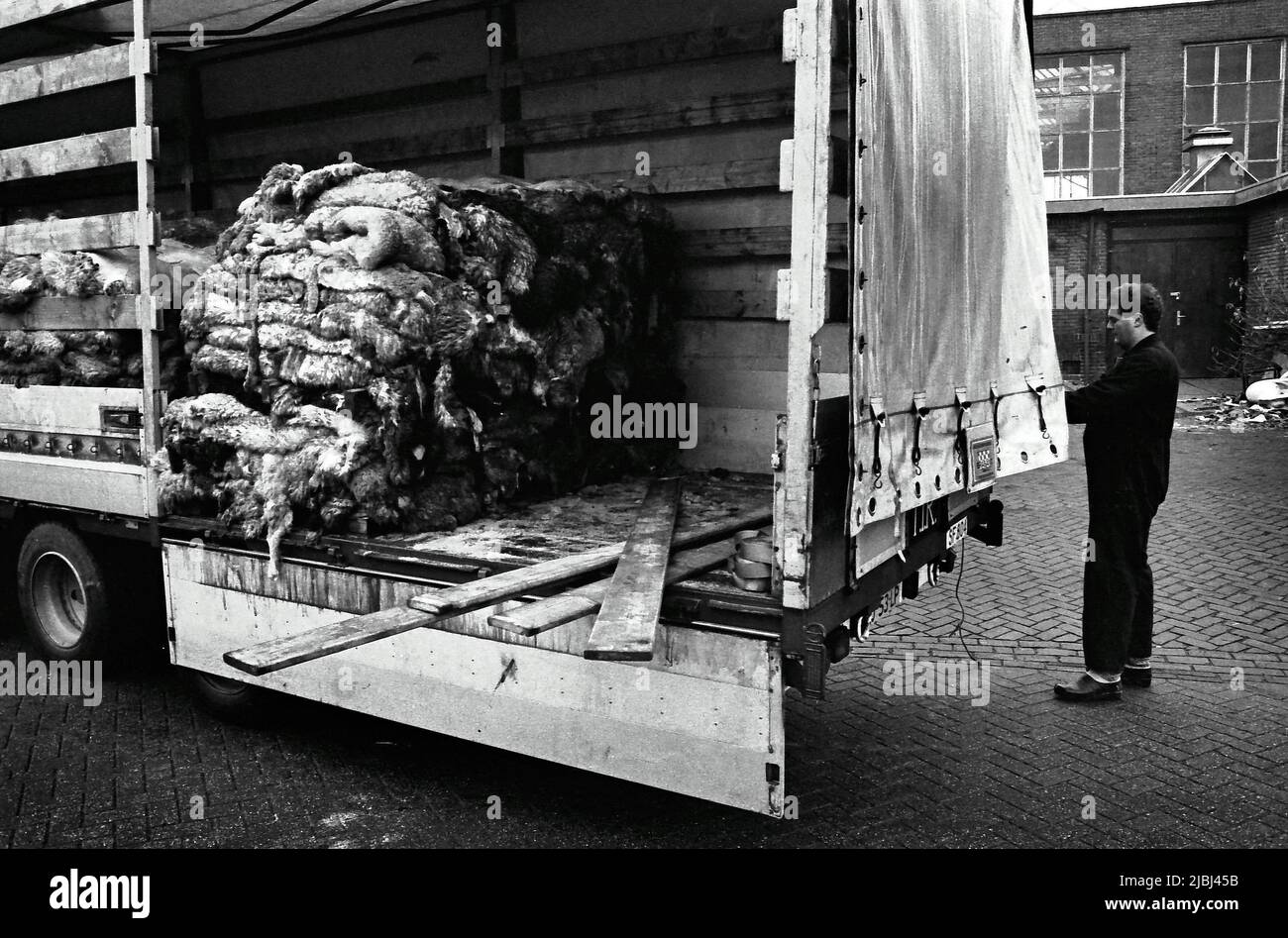 16-12-1991 Leiden,The Netherlands.Slaughterhouse Stock Photo - Alamy