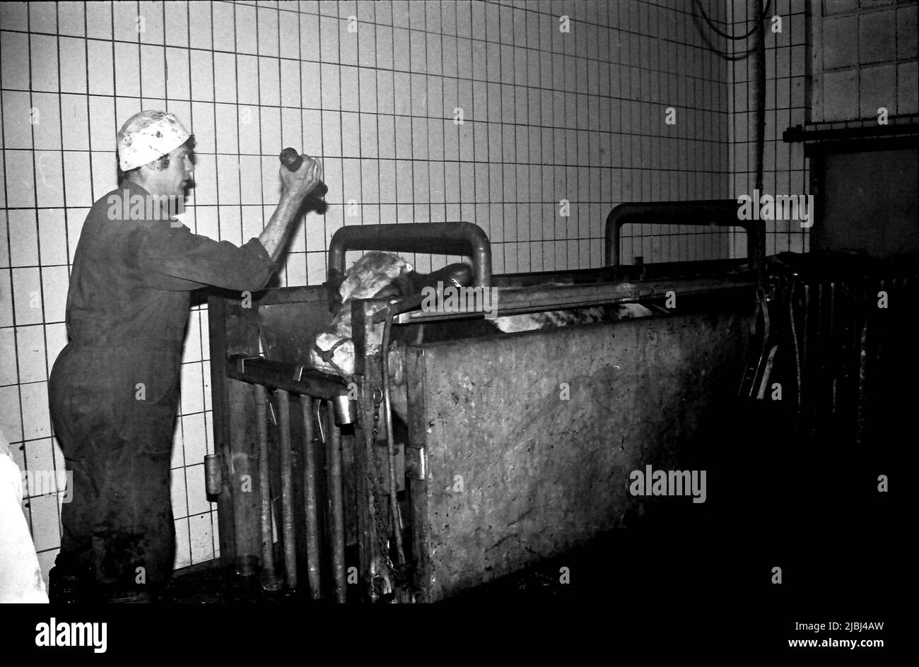 Pmvfoto Black and White Stock Photos & Images - Alamy