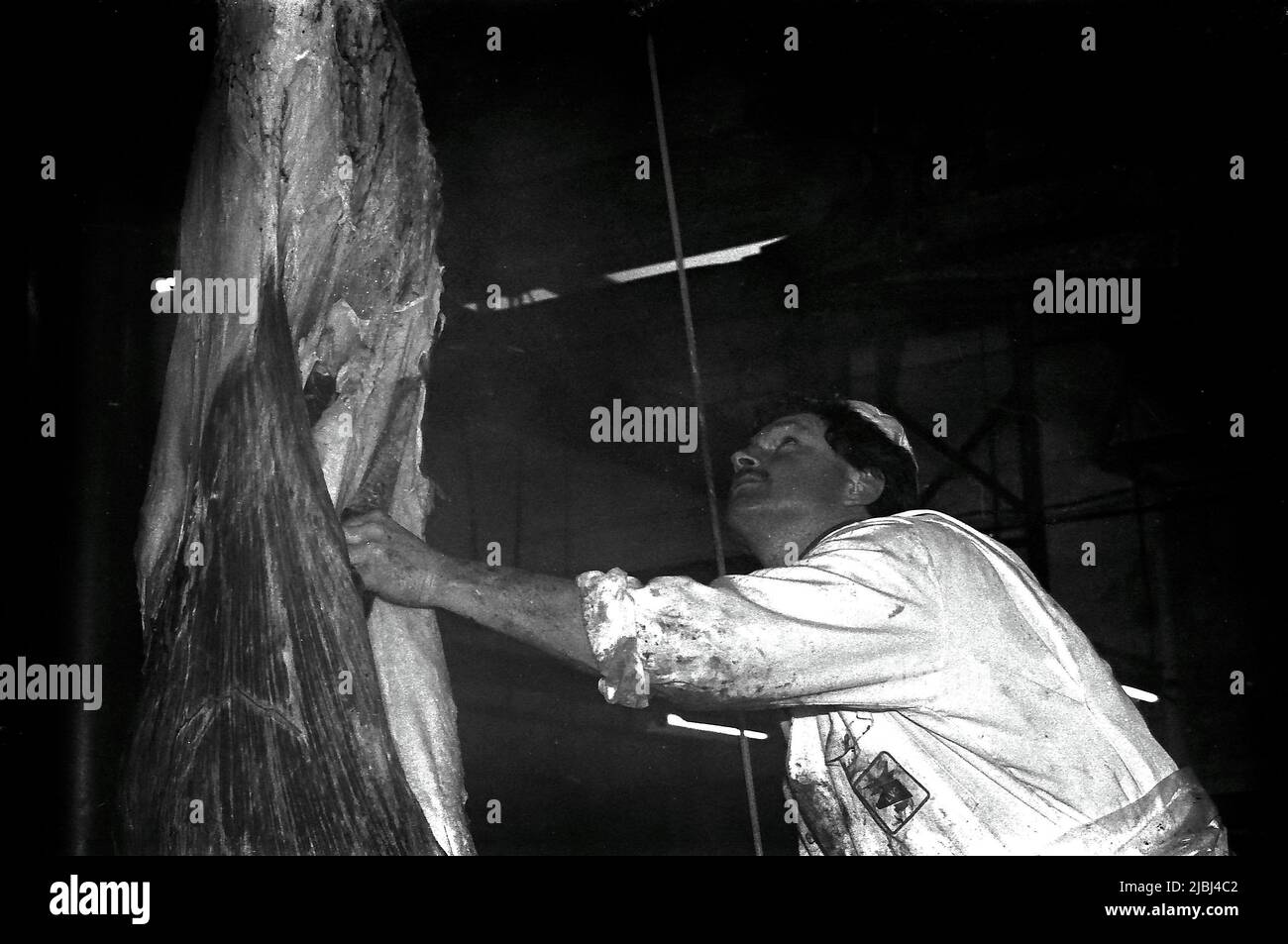 16-12-1991 Leiden,The Netherlands.Slaughterhouse Stock Photo - Alamy