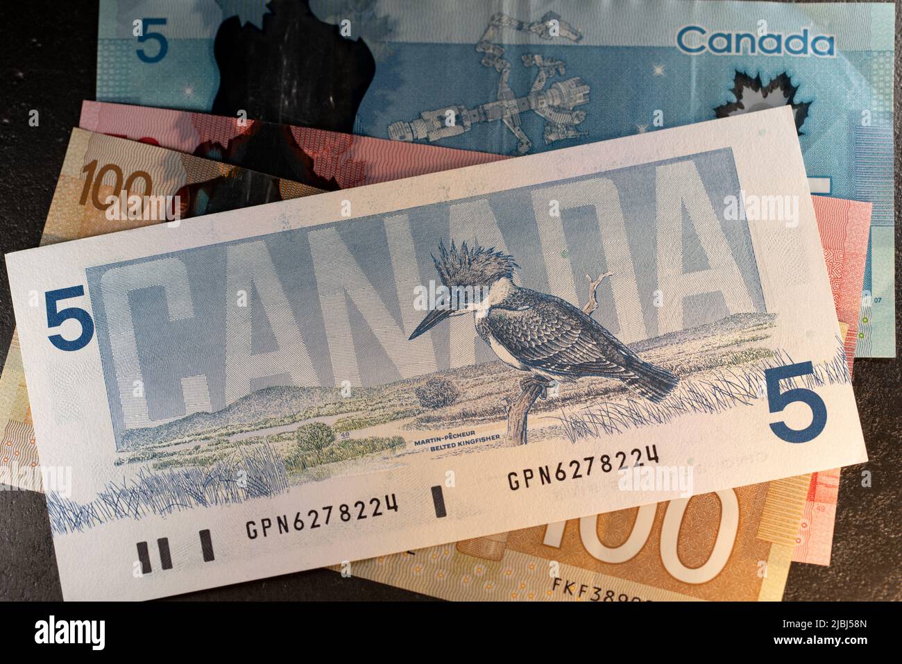 Toronto, Canada - October 30. 2021: Birds of canada banknote on top of ...