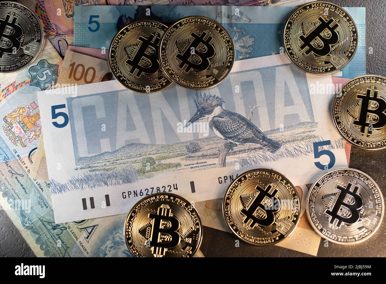 Dollar coin in ice hi-res stock photography and images - Alamy