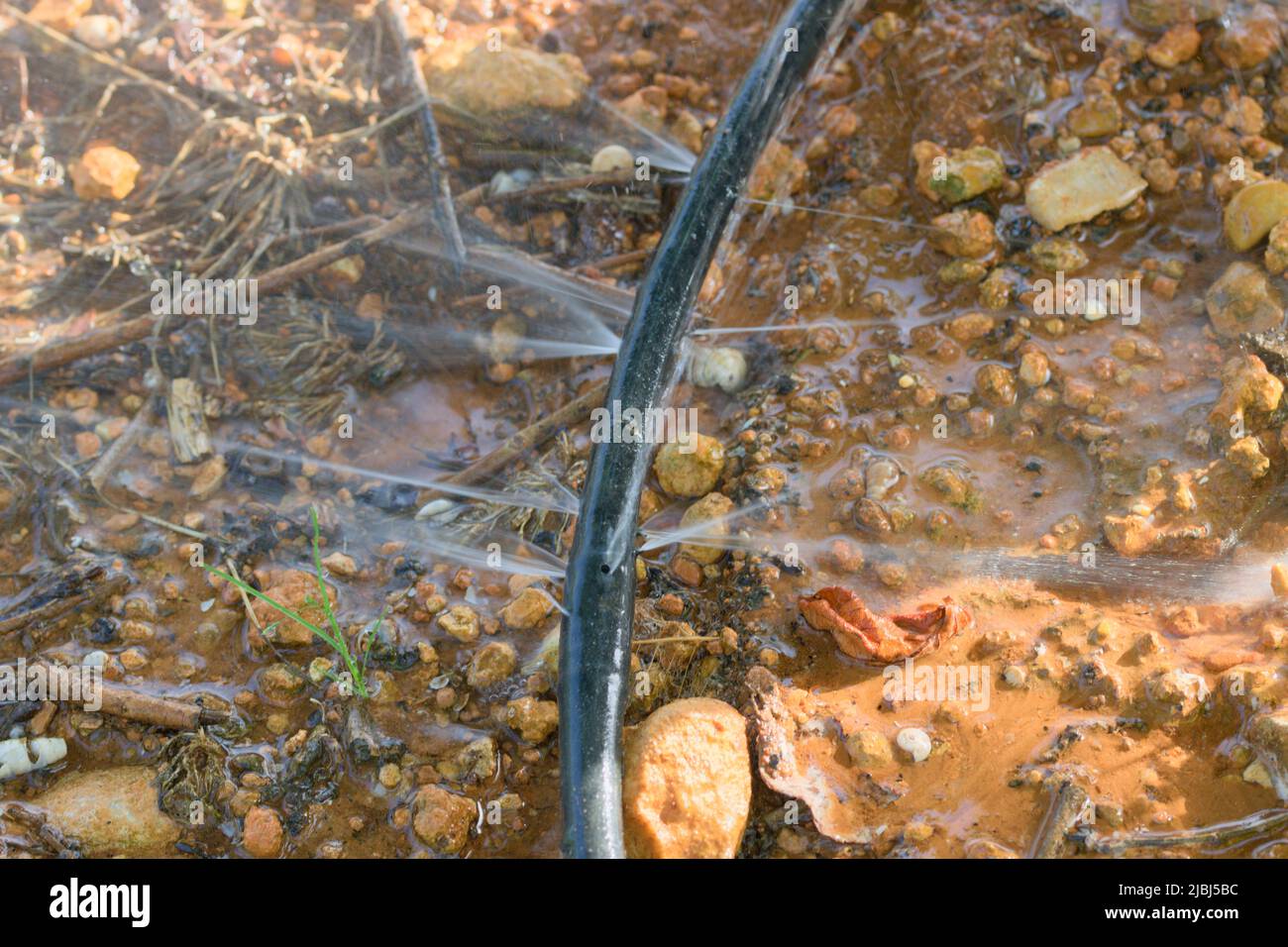 Detail of how the water escapes through the perforations in a drip ...