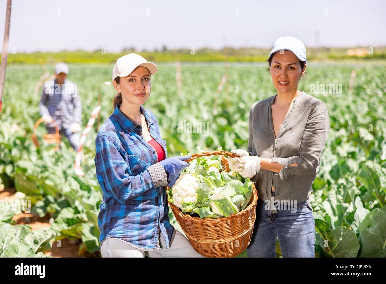 Portrait of positive women gardeners holding wicker basket full of ...
