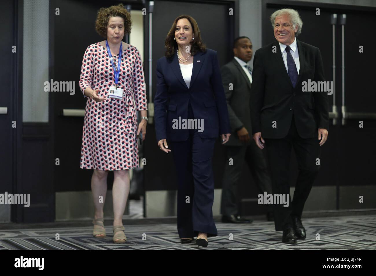 US Vice President Kamala Harris arrives at the IX Summit of the ...