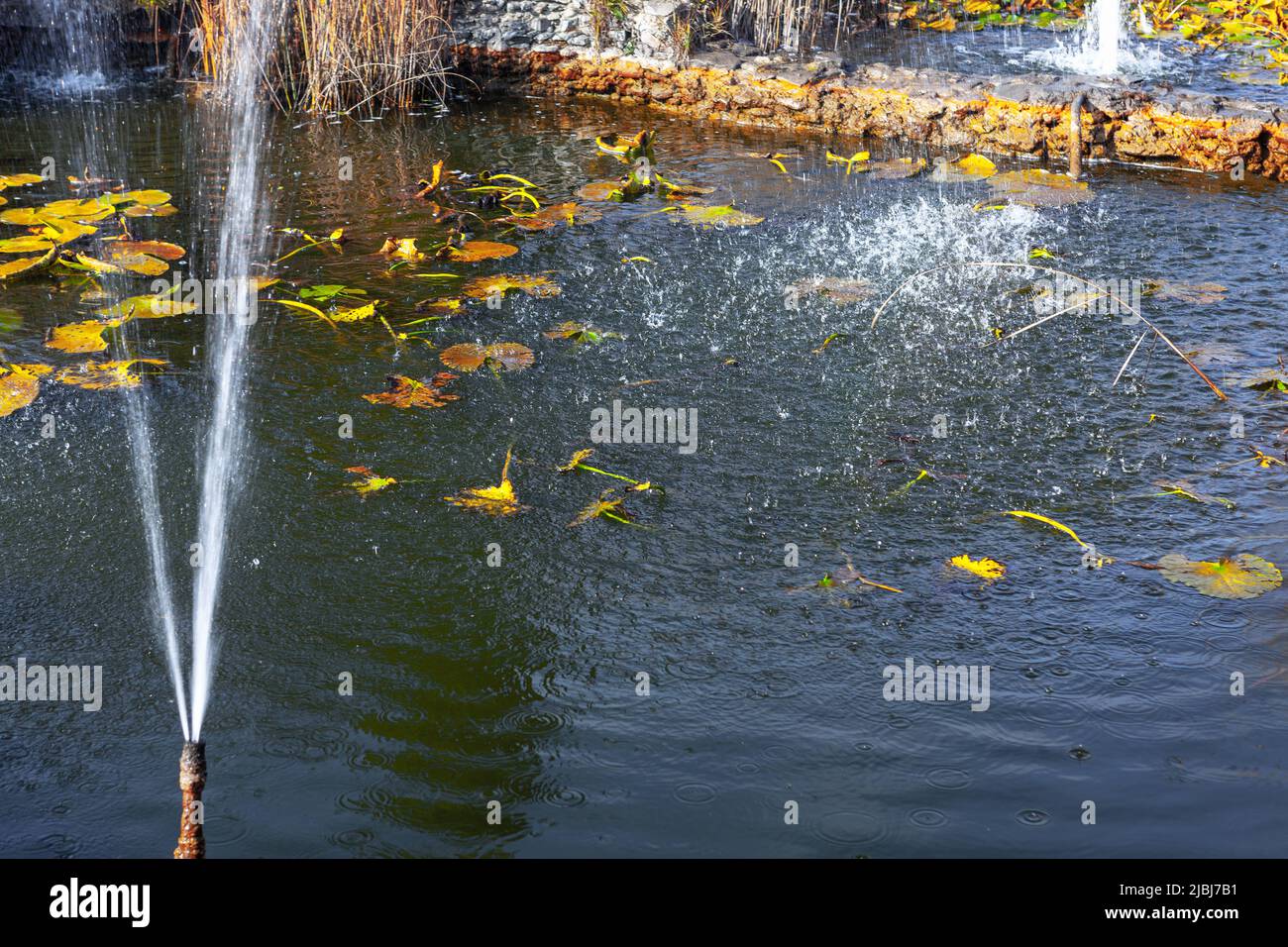 Splashing water in the pond . Fountain with water lily Stock Photo - Alamy