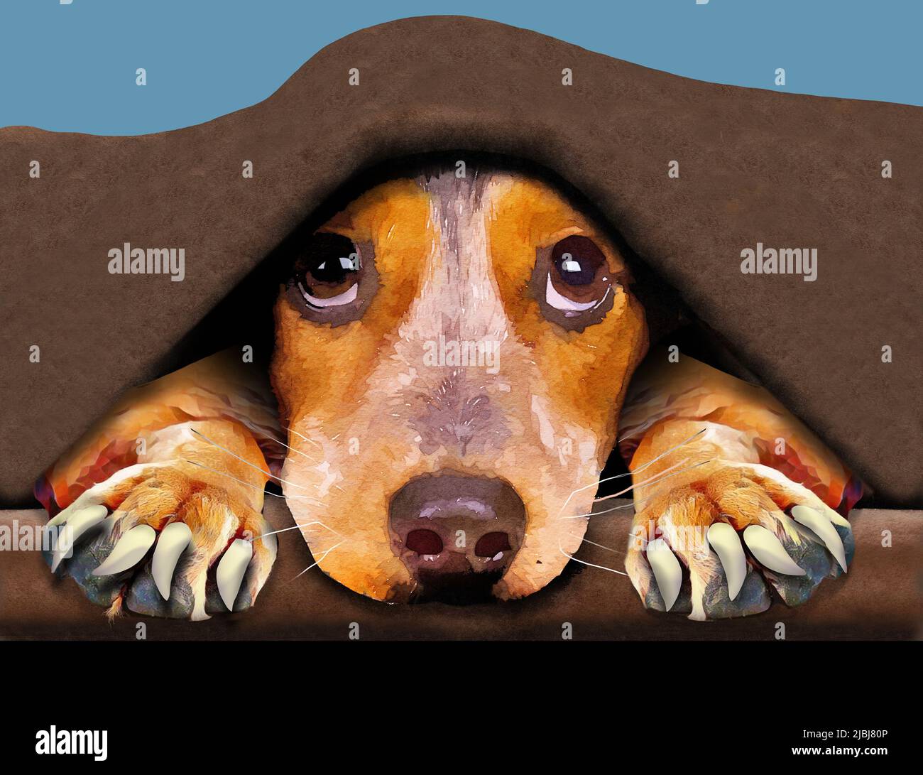 Cutting toe nails hi-res stock photography and images - Alamy