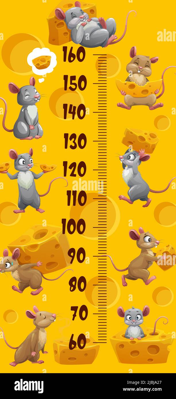 Cartoon funny cute mouse and mice with cheese, kids height chart ...