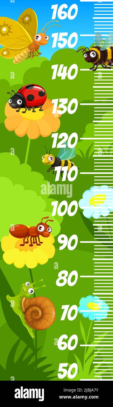 Cartoon cute insects kids height chart. Vector growth meter, wall ...