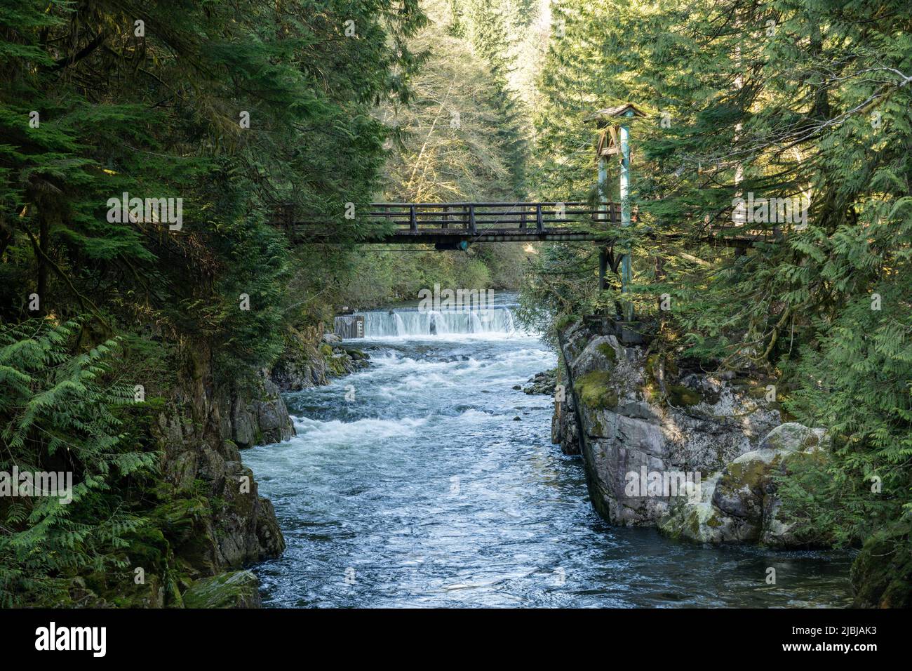 Cable Pool Bridge. Capilano River Regional Park. North Vancouver, BC ...