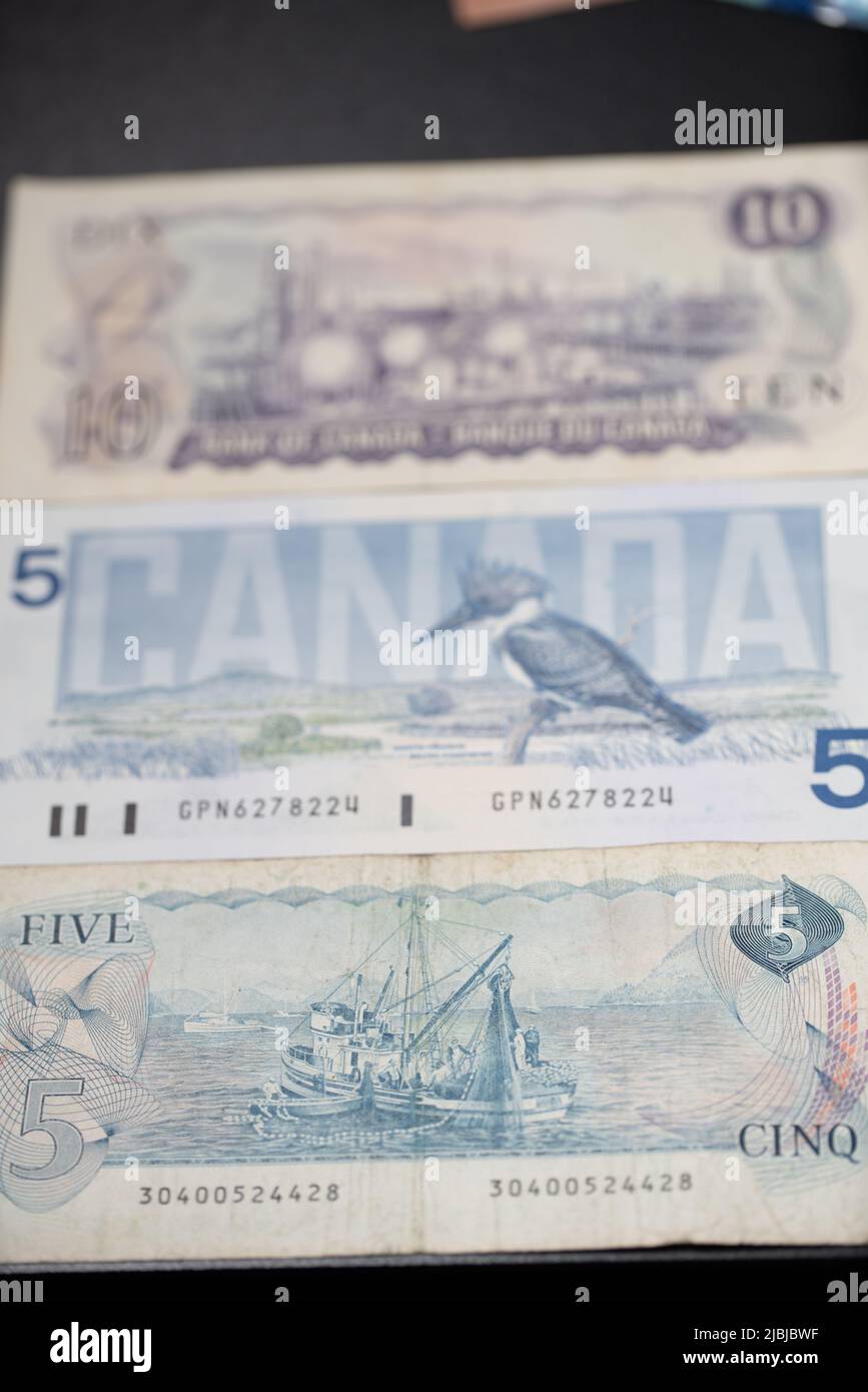 Toronto, Canada - October 30. 2021: Birds of Canada and scenes of ...